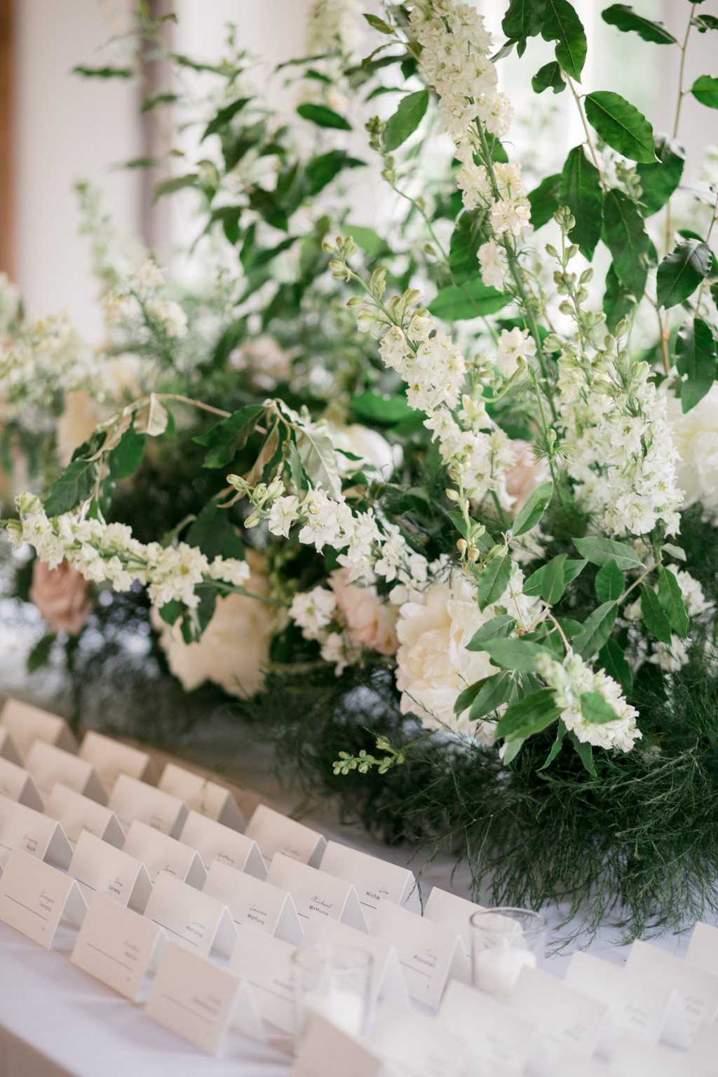Holly Hedge Wedding Photos New Hope Wedding Photographer