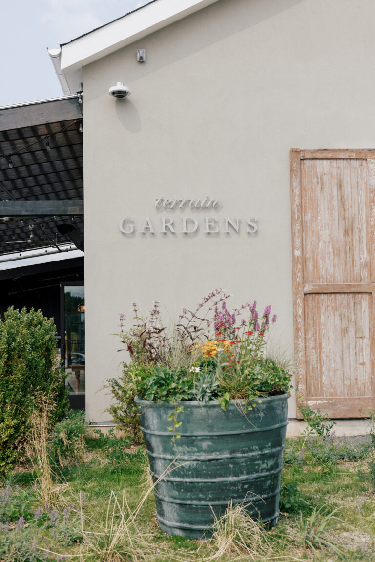 Blog - Hope Helmuth Photography